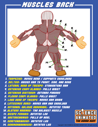 Study Guides529 - Science Animated