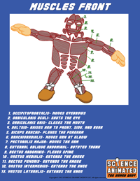 Study Guides529 - Science Animated